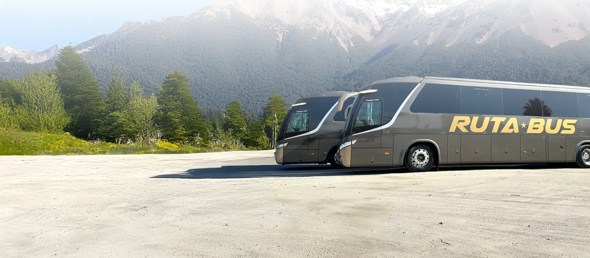 Kenny Bus | Sitio Oficial | Compra tus pasajes online